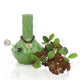 My Bud Vase Turtle Bong – CaliConnected